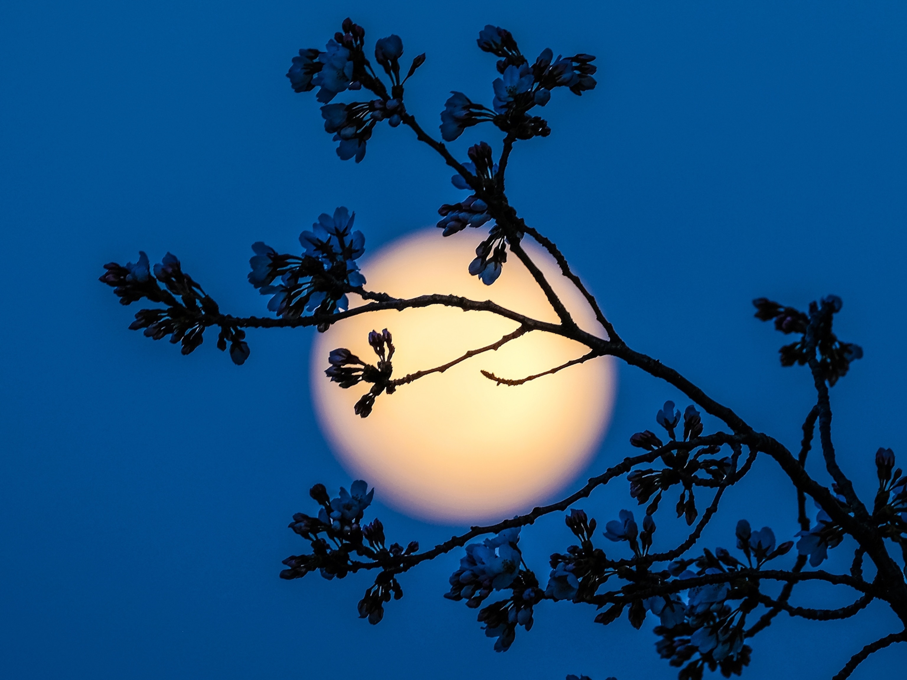 Balance | Reluctant Xtian