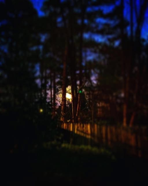 Wolf Moon | Reluctant Xtian