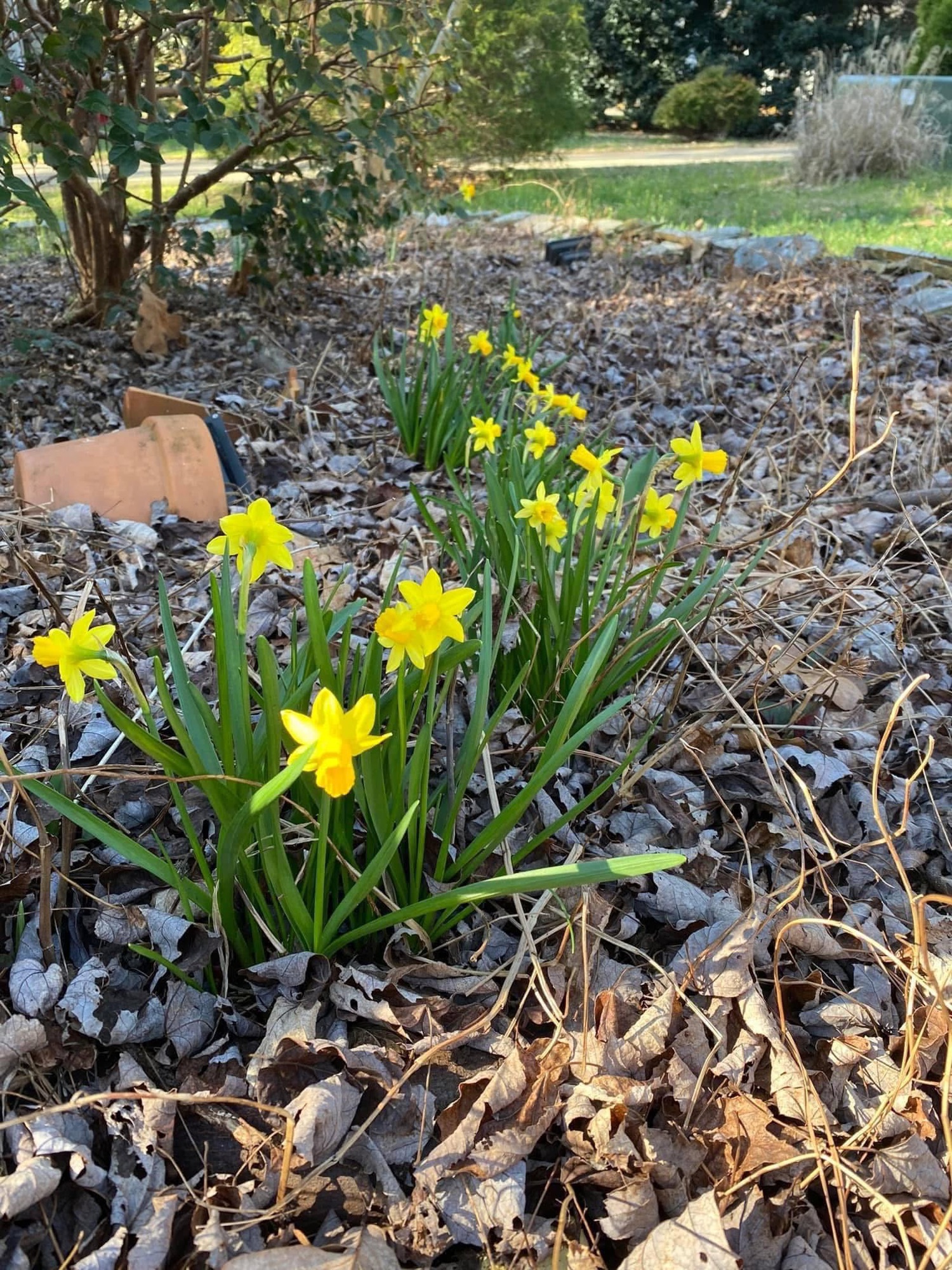 A Breakthrough | Reluctant Xtian